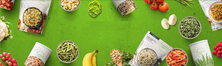 First Aid Supplies & Injury Prevention Training – Shield-Safety